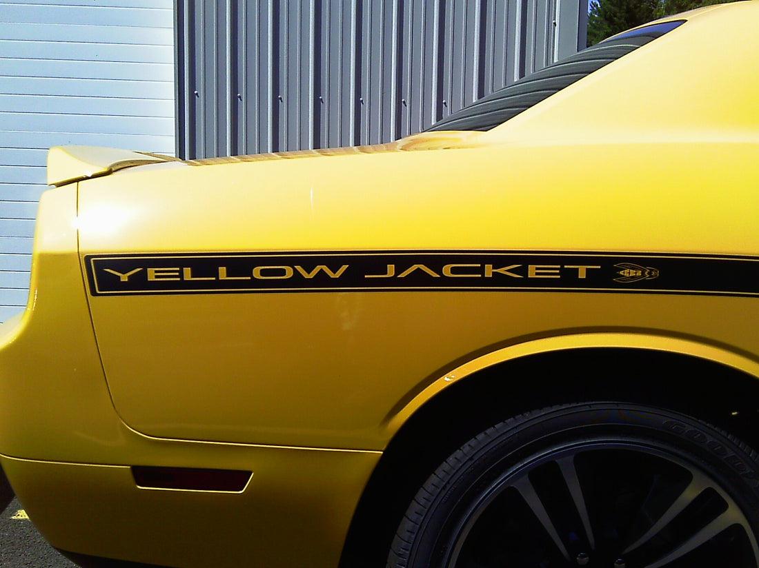 2008 - 2023 DODGE CHALLENGER YELLOW JACKET FACTORY STYLE BODY SIDE STR ...